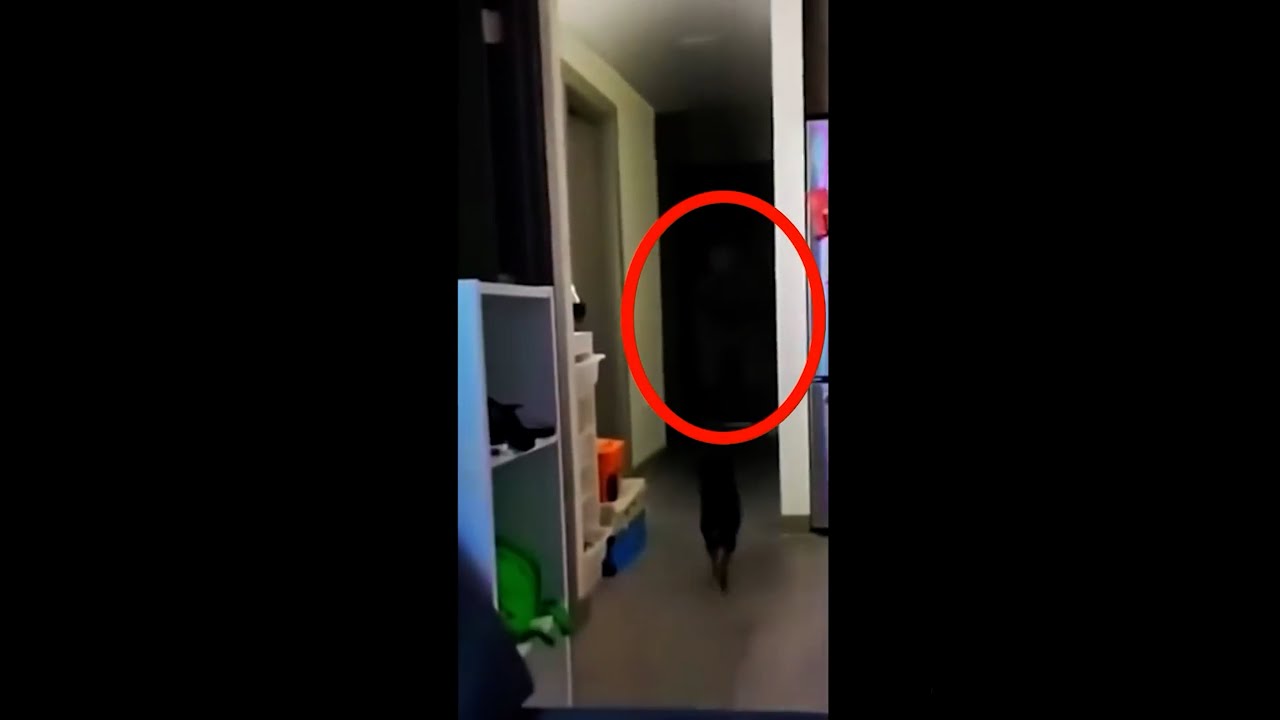 Fear Inducing Videos to Keep You Up Tonight - YouTube