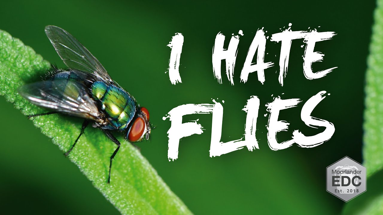 I hate flies (Moorlander EDC Bloopers) - YouTube