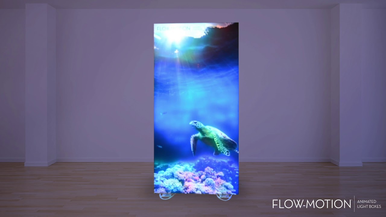 Turtle Flow-Motion Dynamic LED Animated Light Box - YouTube