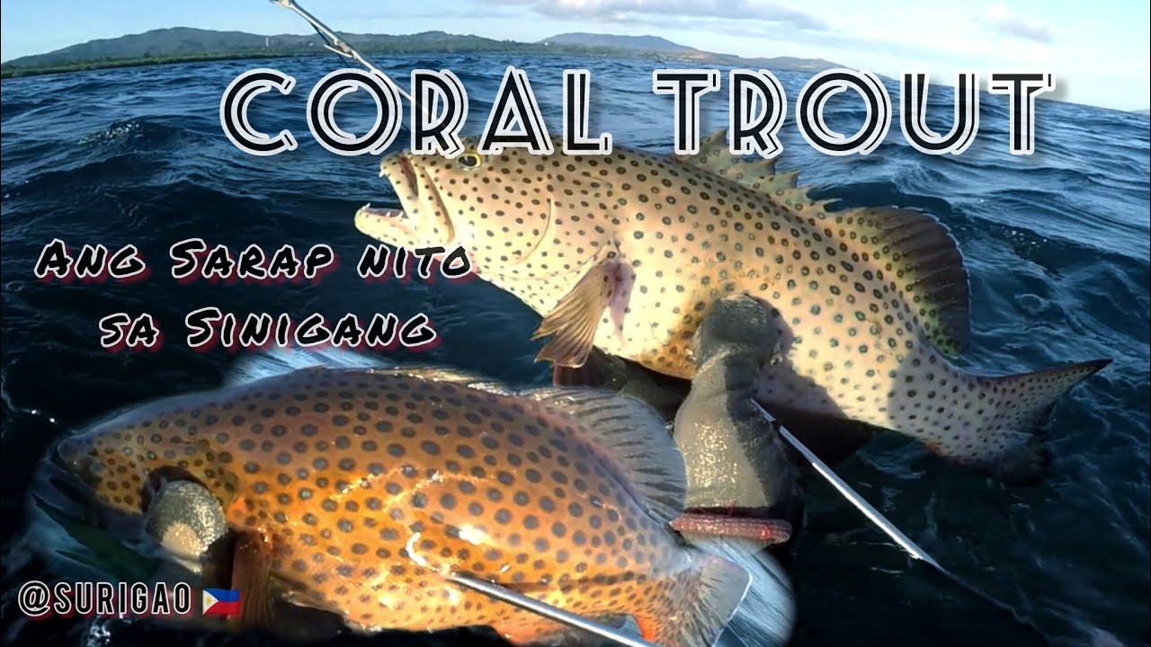 First Time kung Maka huli ng Ganito ||Trophy fish unlock 🤑👌😇# ...