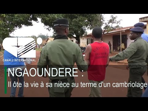 NGAOUNDERE : Il ôte la vie à sa nièce au terme d'un cambriolage
