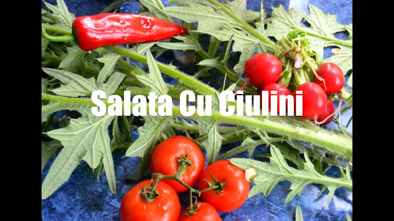Salata de vara cu scaieti -Thistle Salad - YouTube