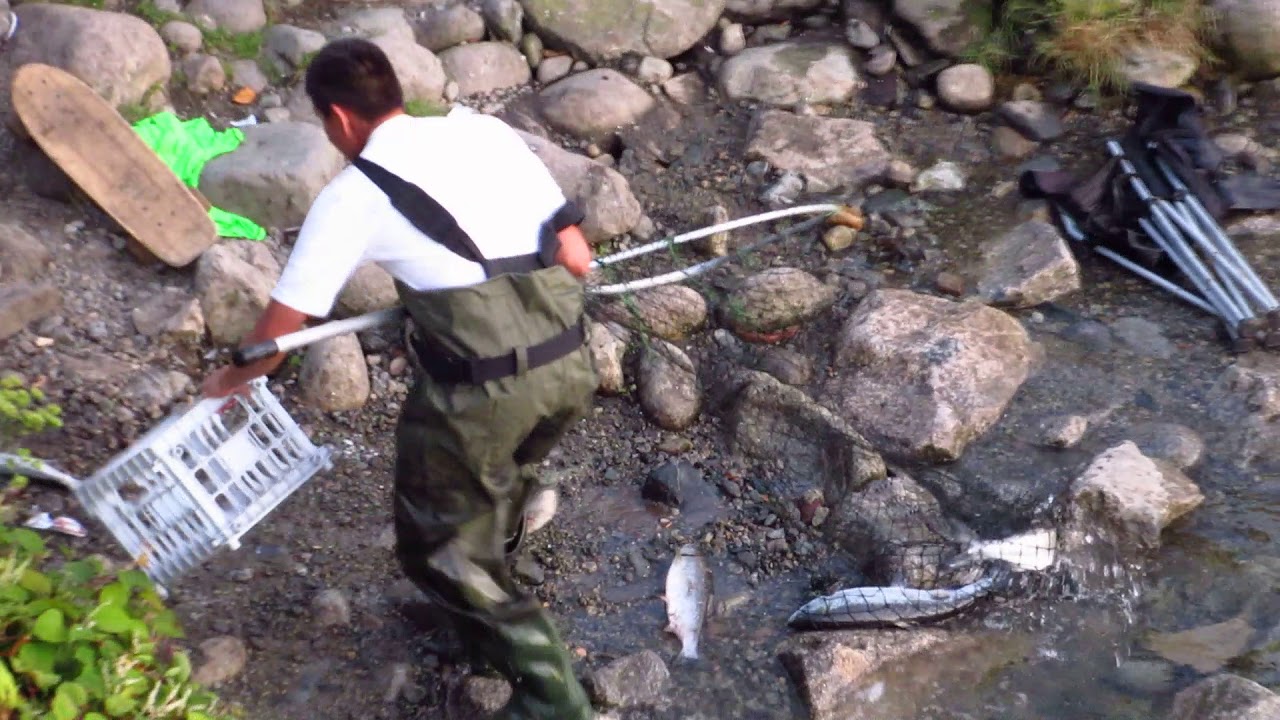 Squamish first Nation fishing Cap river - YouTube