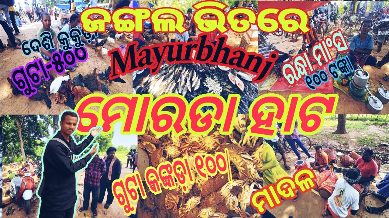 ଶାଳ ବଣରେ ଦେଶି ହାଟ 🥺Moroda hata ବାରିପଦା ମାଦଳ,ଜଙ୍ଗଲି ମାଂସ, କୁକୁଡ଼ା ଗେଣ୍ଡା ...