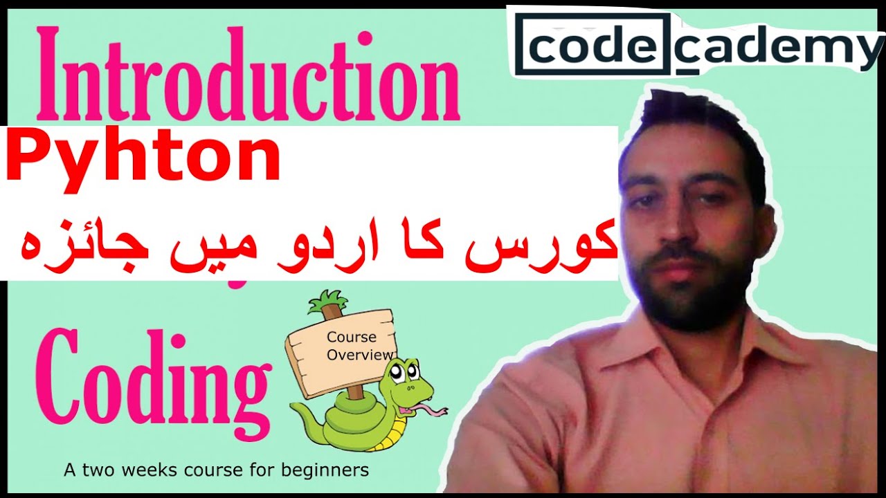 An Overview of Python Course by Codecademy for matric pass, early ...