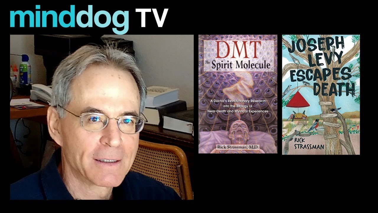 Dr Rick Strassman - DMT- The Spirit Molecule - YouTube