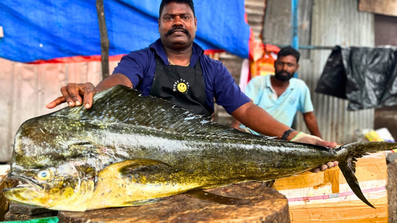 MAHI MAHI PARLA FISH CUTTING BY SPEED SELVAM | HD VIDEO | IN KASIMEDU ...