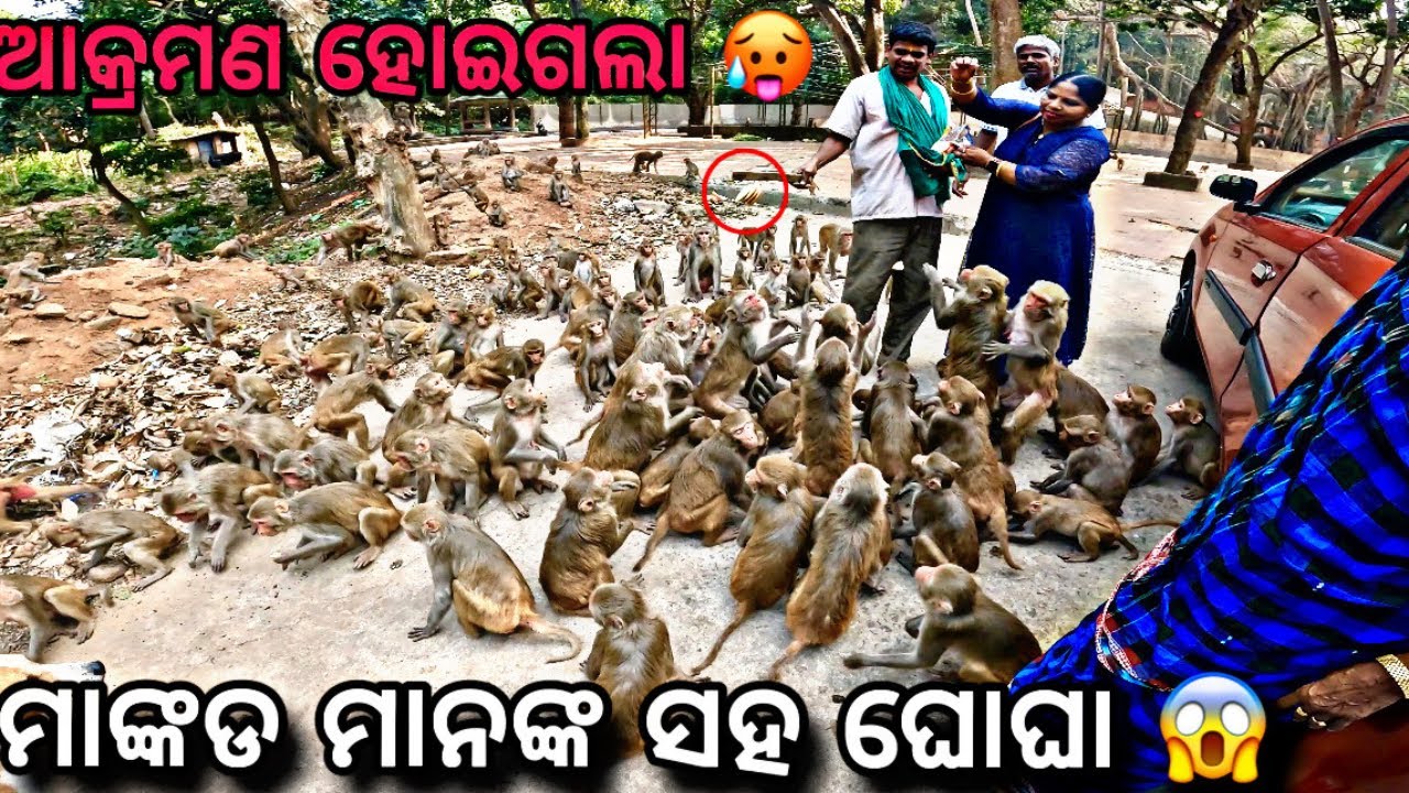 Best Tourist Place In Chandikhole | Model Soumya Odia Vlogs - YouTube