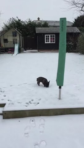 JJ first time seeing the snow - YouTube