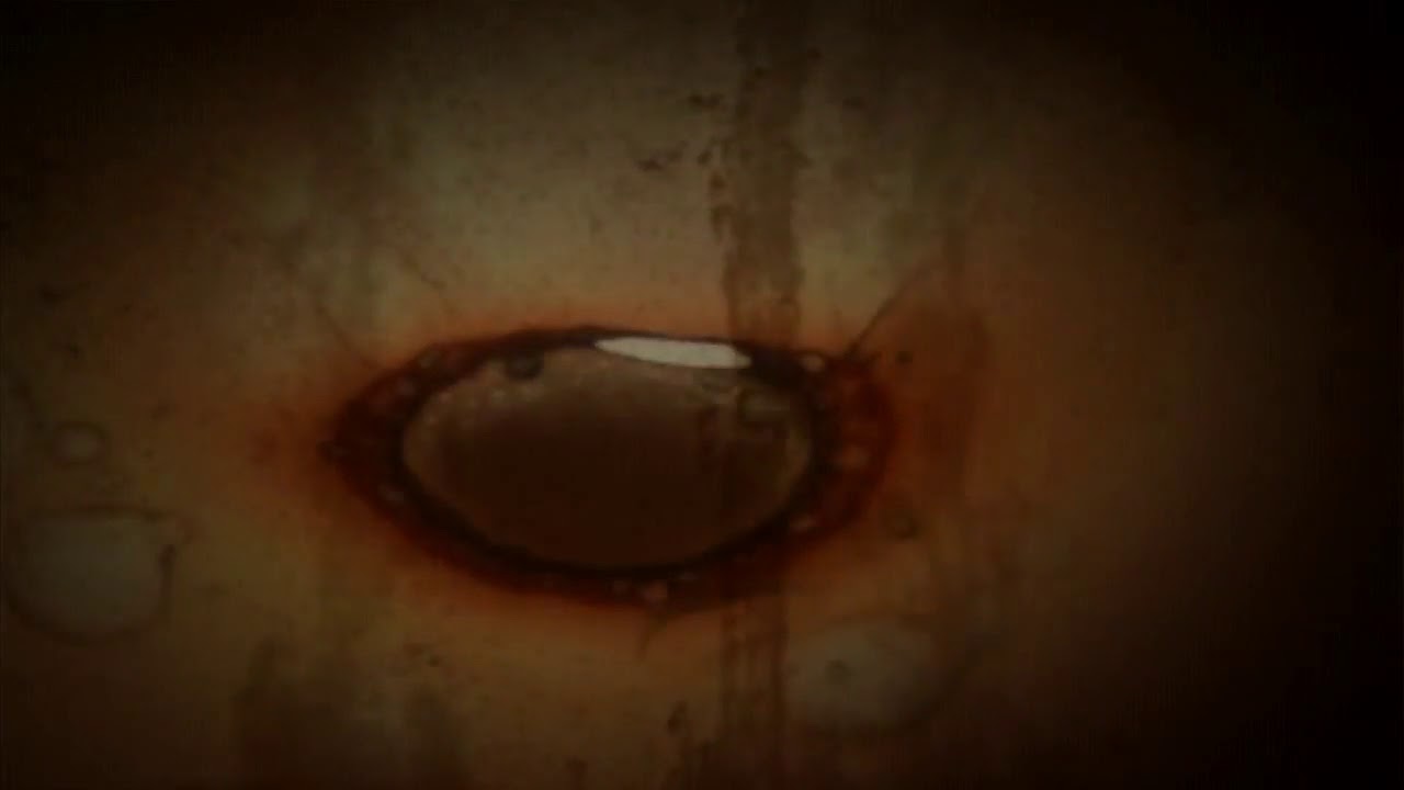 Forbidden Siren 2 Intro - YouTube