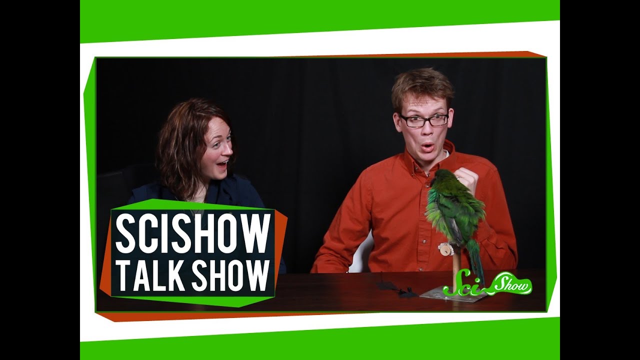 More About Cats, & Gonzo the Toucanet: SciShow Talk Show Episode 6 ...