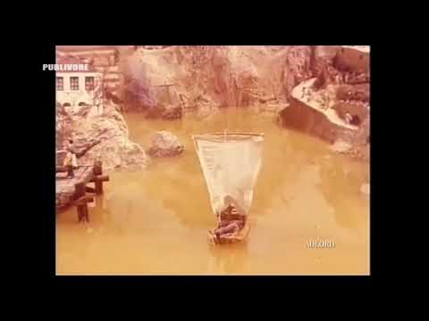Porto - France - 1956
