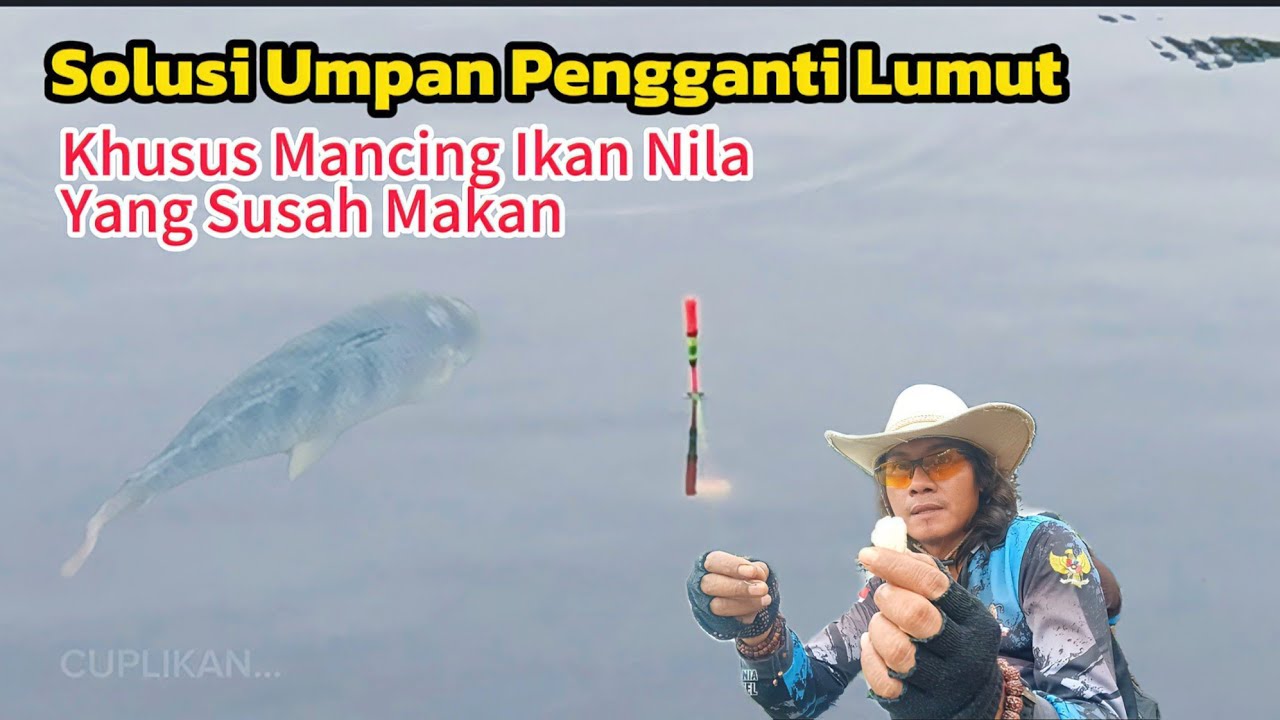 SPOT MANCING NILA PALING POTENSIAL DI JAKARTA TIMUR // MANCING IKAN ...