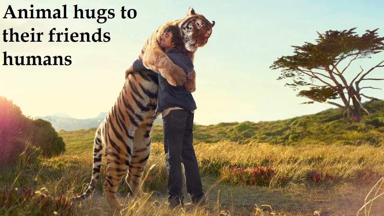 Animal hugs to their friends humans - YouTube