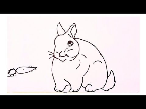 How to draw a Rabbit Easy Step by Step 🐇 Easy Bunny Rabbit Drawing ...