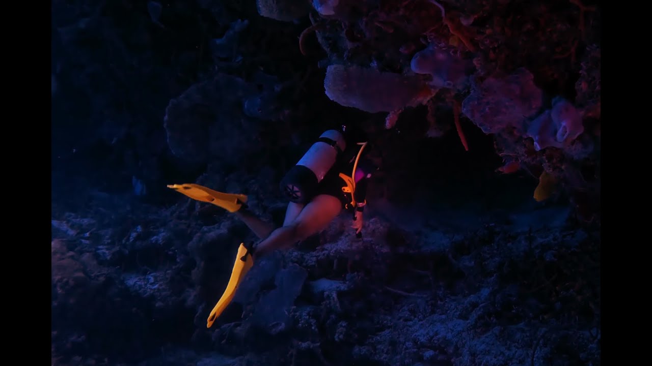 Cozumel Cave Diving! with "Aldora Divers" - YouTube