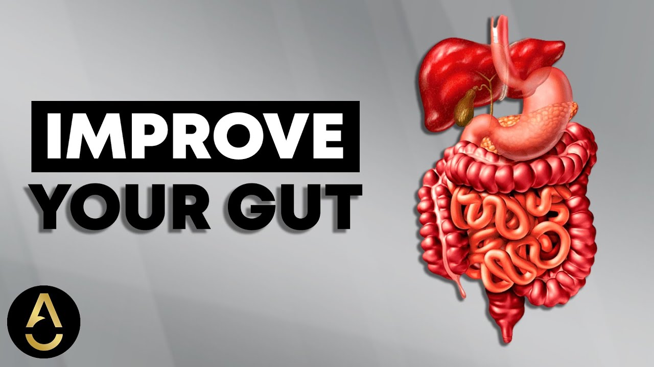 How To Make Your Gut Healthy and Support Good Bacteria - YouTube