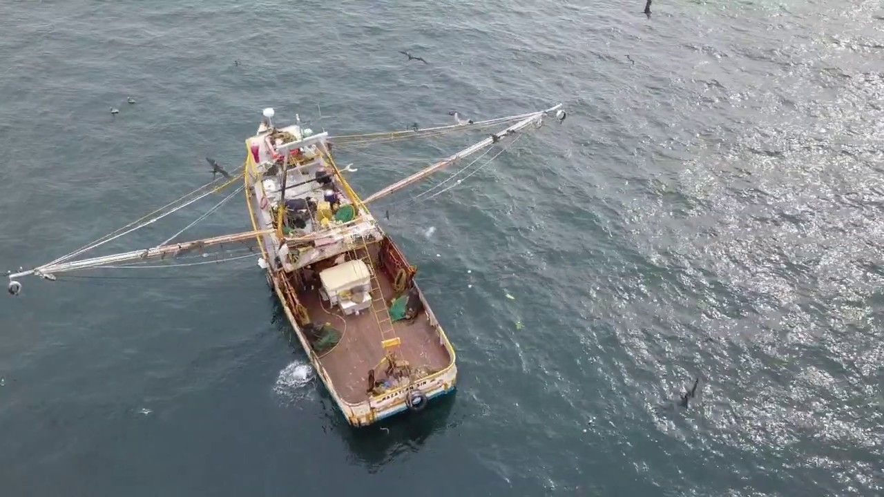 Barco Camaronero Mazatlan - YouTube