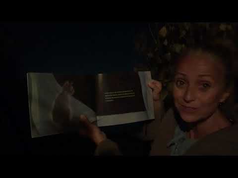 Night In The Country By Cynthia Rylant - YouTube