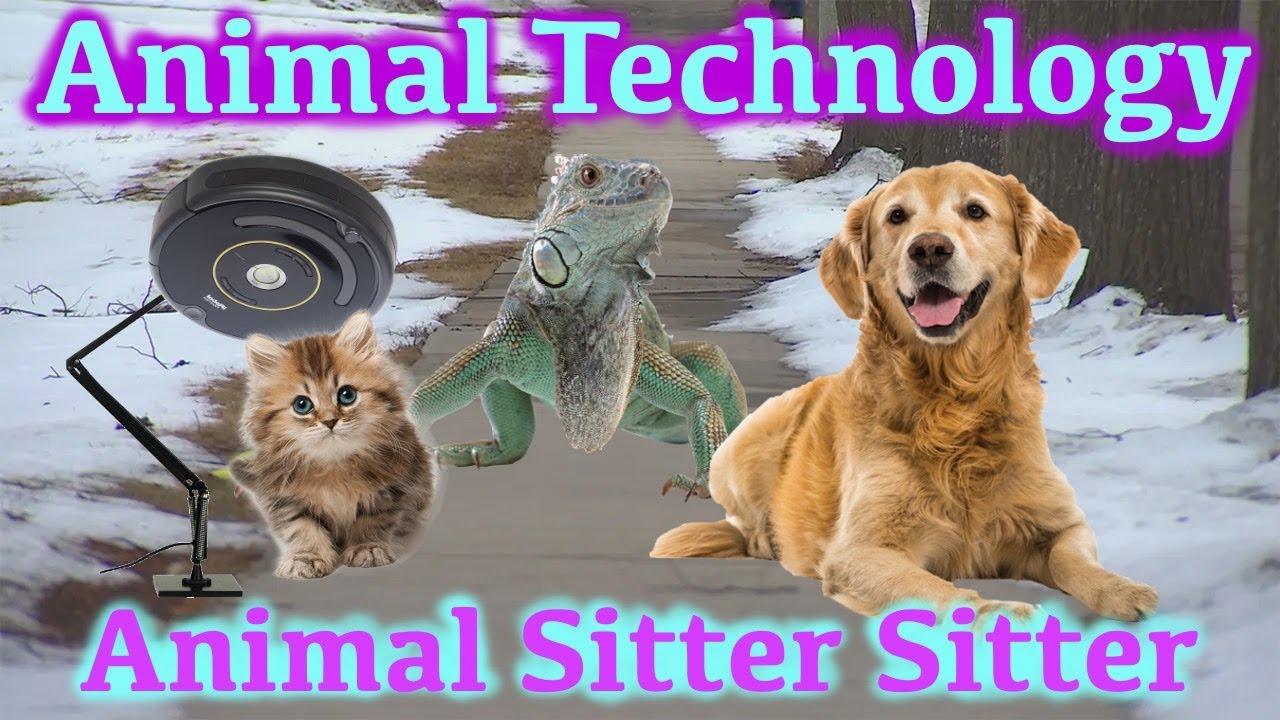 Monitor Your Animal Sitters with The Animal Sitter Sitters - YouTube