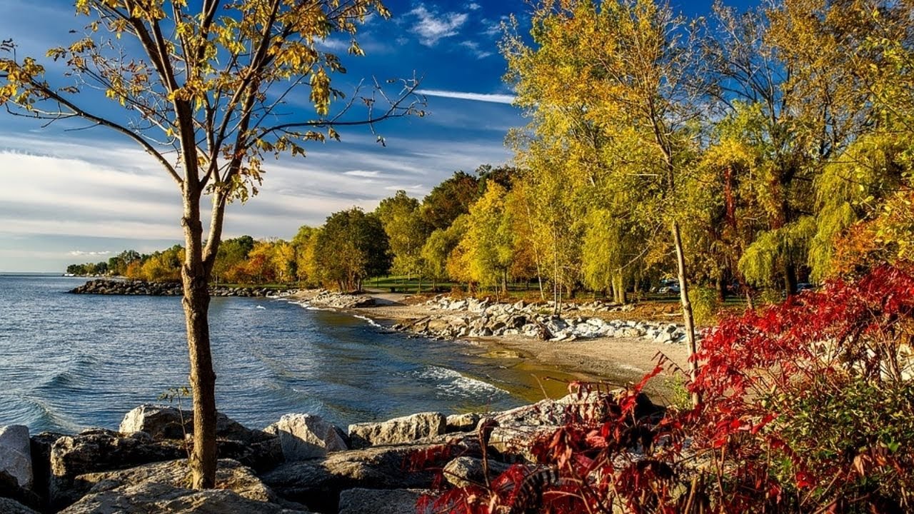 Relaxation Music ~ Calm Soothing Music ~ Calming Music ~ Relaxing Music ...