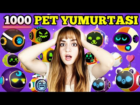 PK XD 1000 TANE PET YUMURTASI ! AÇABİLDİM Mİ ? | ÖZGÜŞ TV