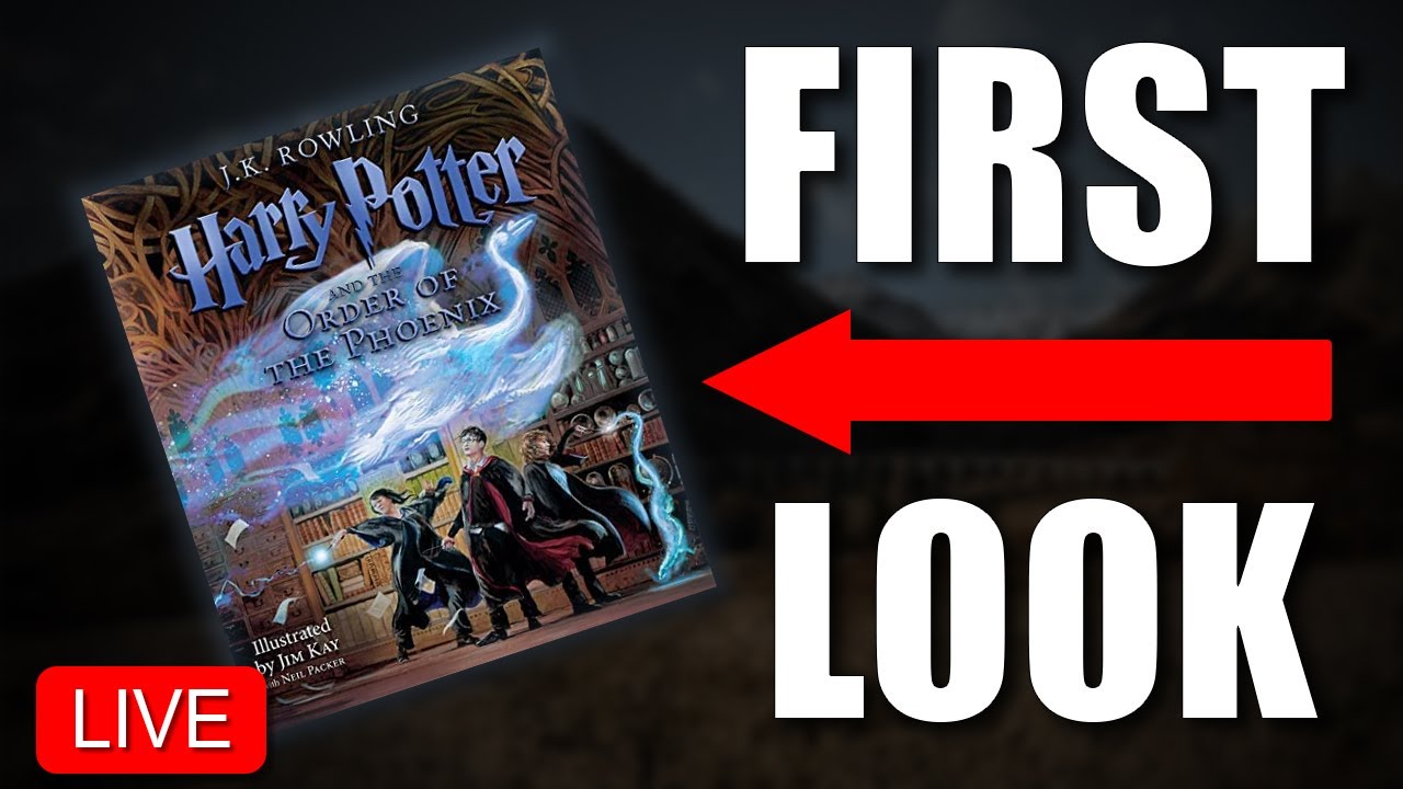 Harry Potter and The Order Of The Phoenix Jim Kay Illustrated Flip ...