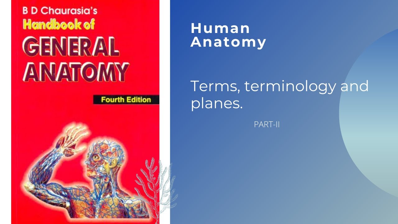 Human Anatomy|Terms, terminology and planes|General anatomy. - YouTube