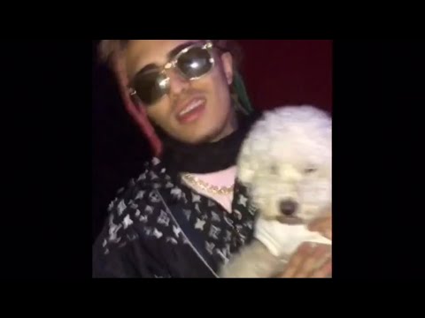 LIL PUMP GETS A NEW DOG - YouTube