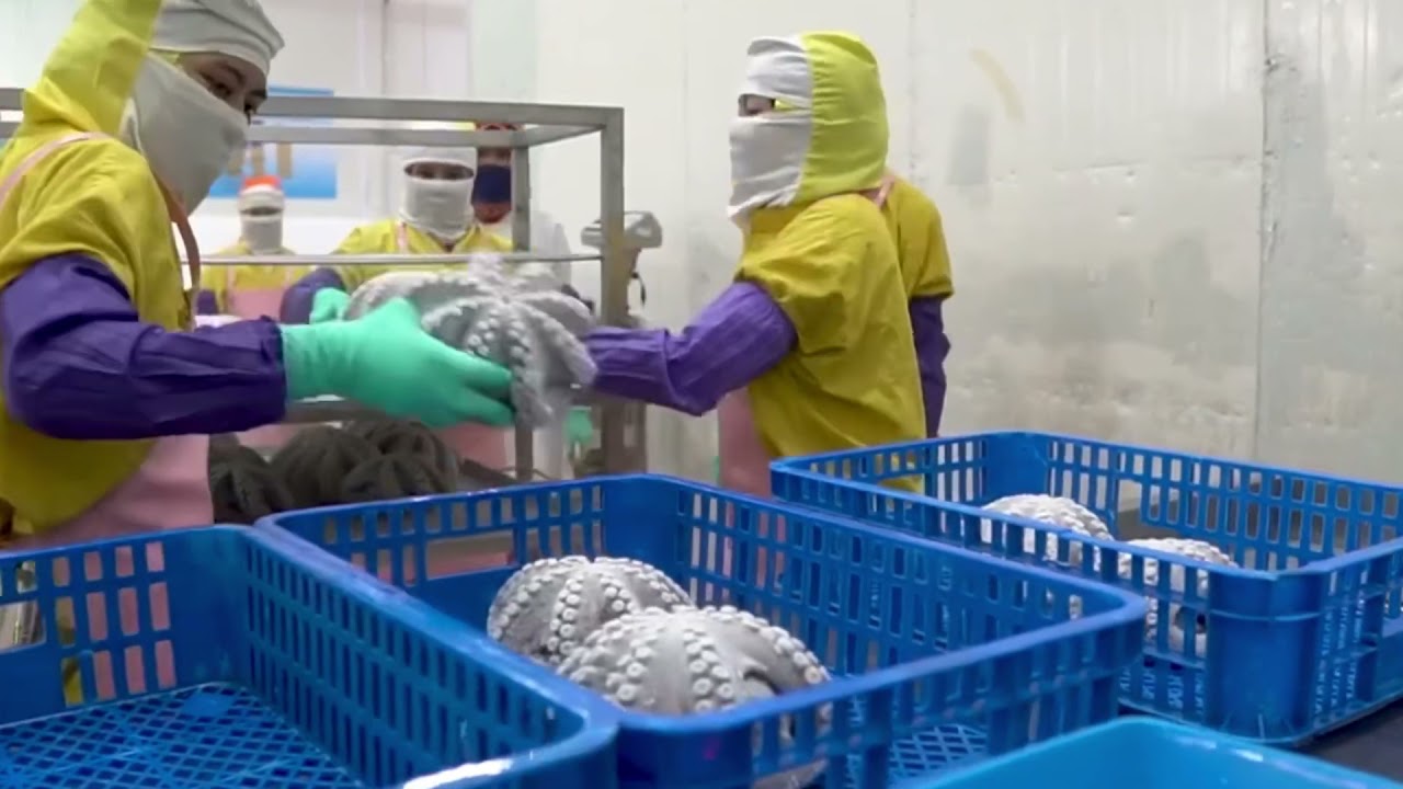 Fishery Community Production_PT. BMI (Bumi Menara Internusa) Lamongan_M ...