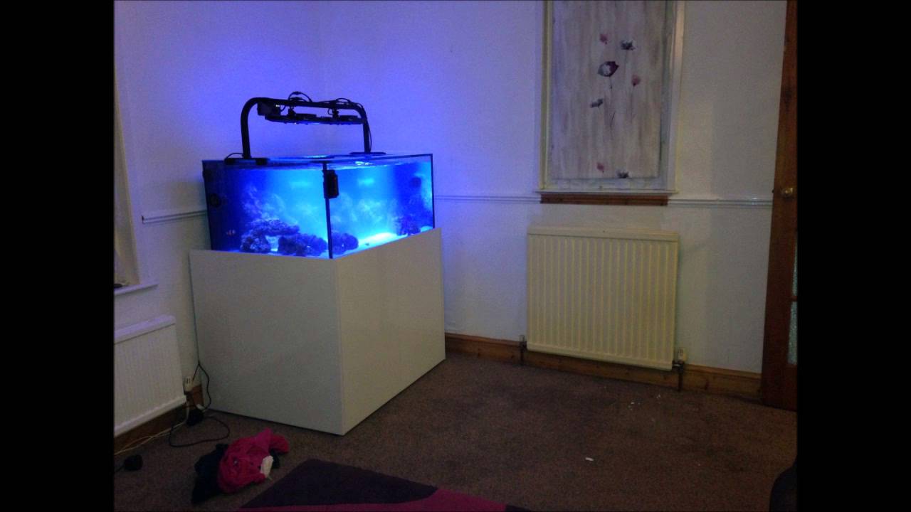 90L Marine tank upgrade to 340L - YouTube