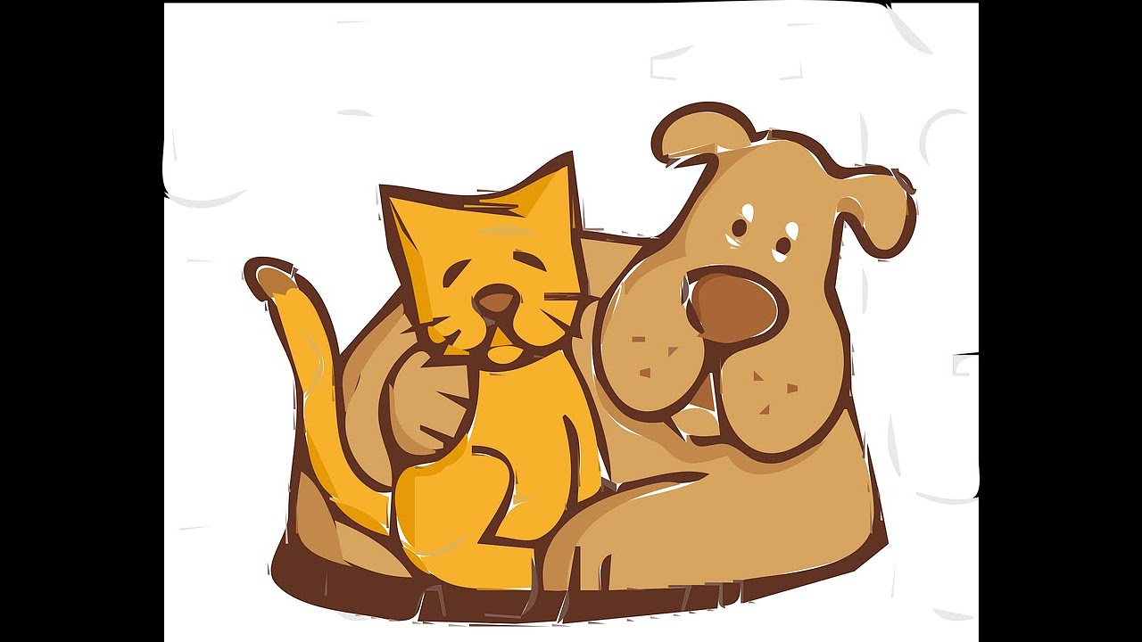 Cat hits Dog. Pet CAT AND DOG - Relationships - YouTube