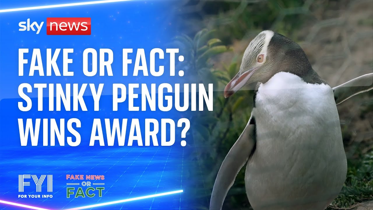 Fake or Fact: Stinky penguin wins award? - YouTube