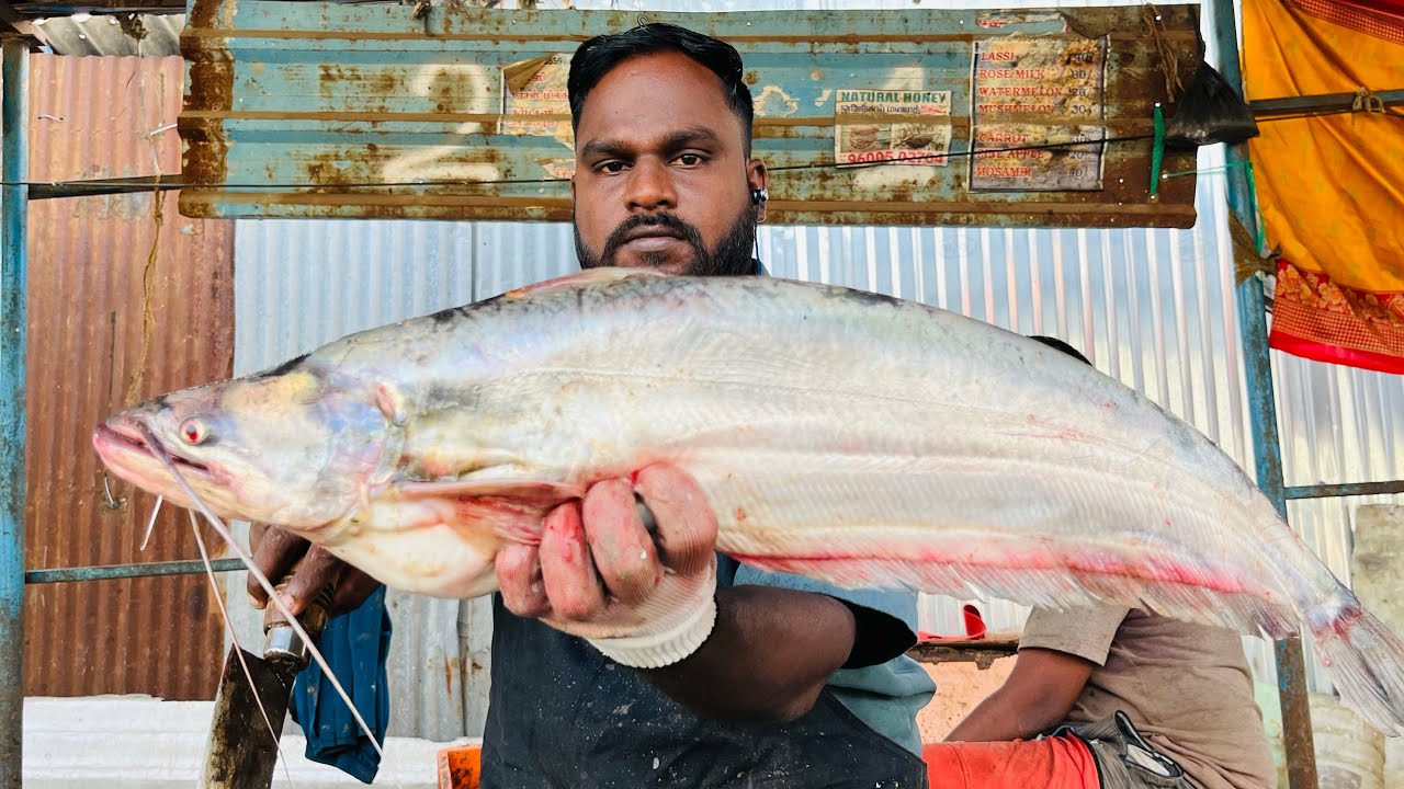 KASIMEDU FISH CUTTING 🔥FASTEST DAVID KUMAR INCREDIBLE { 3 KG CAT FISH ...
