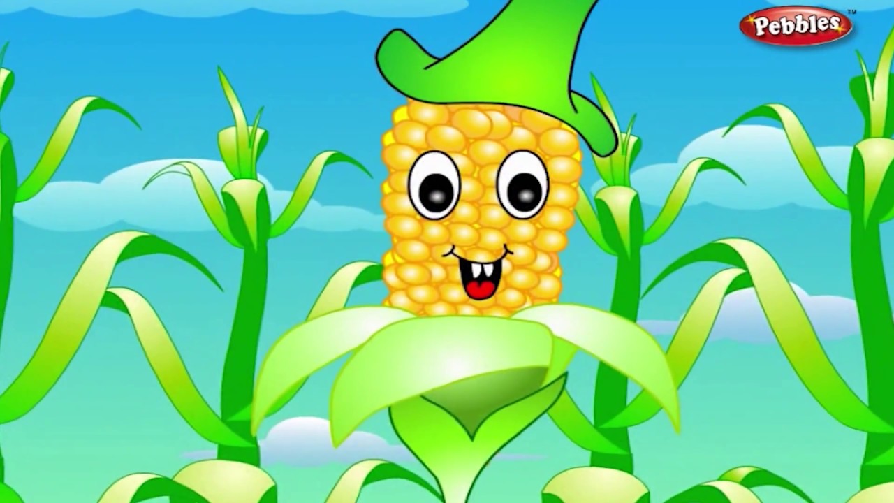 Maize Rhyme | Vegetable Rhymes for Children | Nursery Rhymes for Kids ...