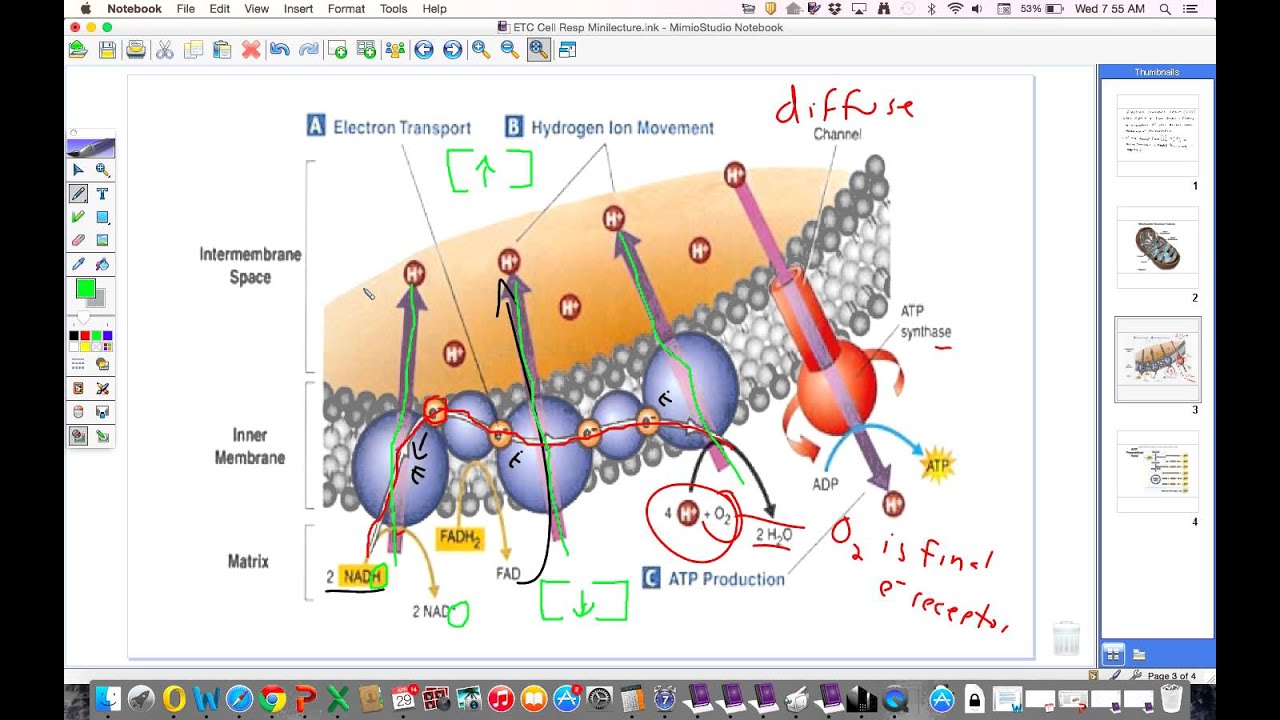 ETC Recorded Lecture - YouTube