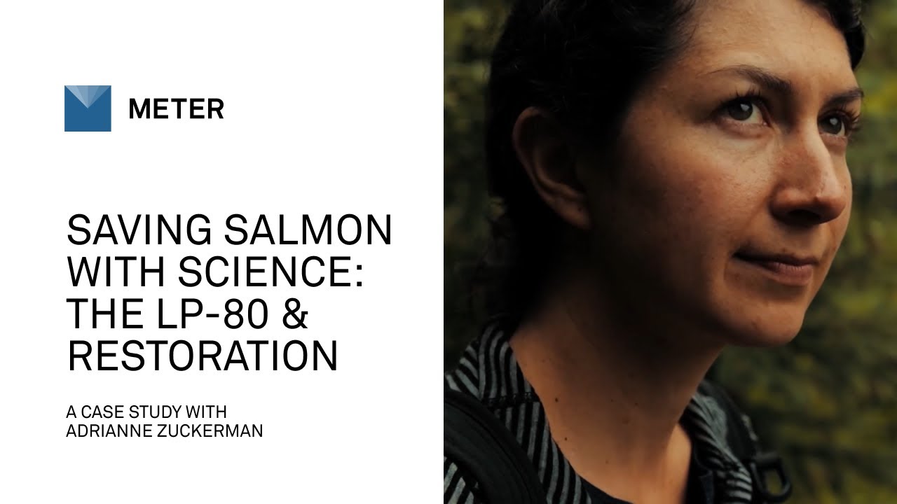 Saving Salmon With Science: The LP-80 in Stream Restoration - YouTube