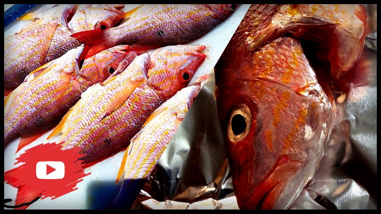 The BEST Way to Cook Lane Snapper! - YouTube