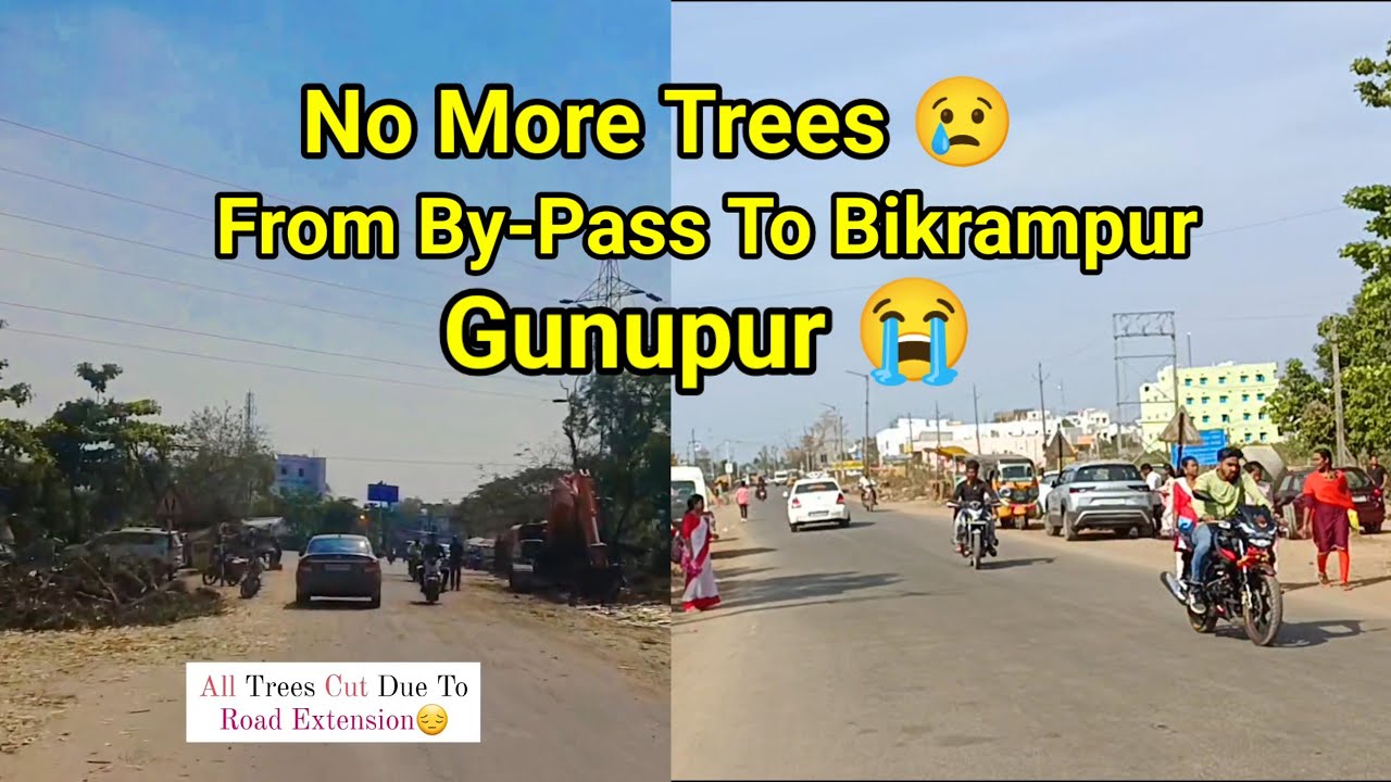 No More Trees From By-pass To Bikrampur Gunupur || All Treas Cut Due To ...