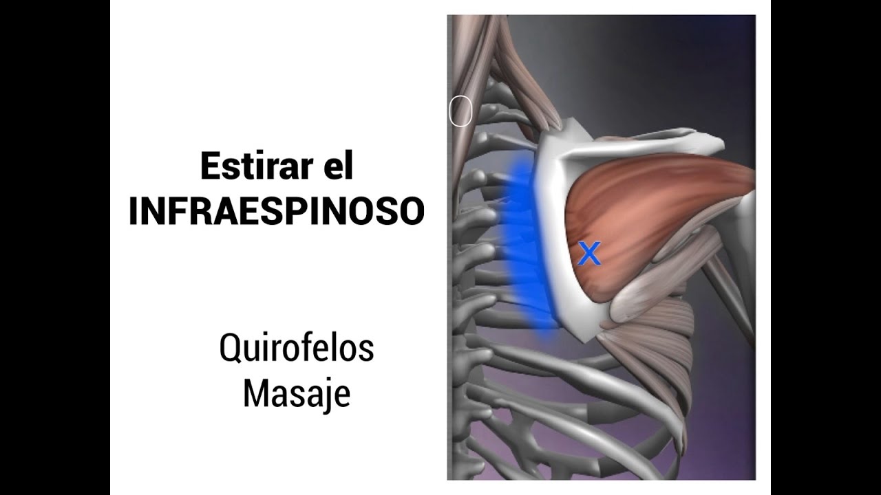 EVITA PROBLEMAS DE HOMBRO CON ESTE ESTIRAMIENTO DE INFRAESPINOSO ...