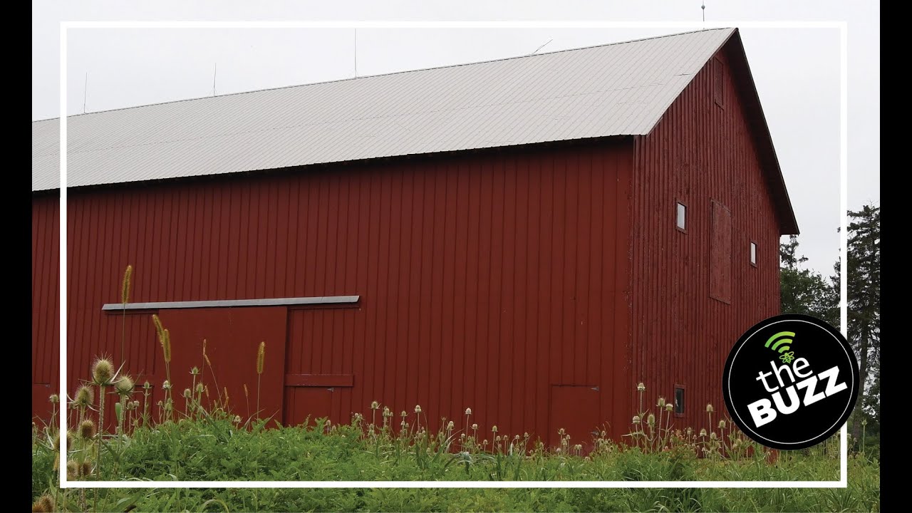 The Buzz: Season 3, Episode 9 - YouTube