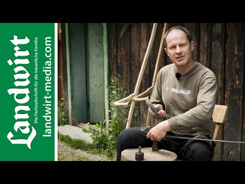 Sense richtig dengeln | landwirt-media.com