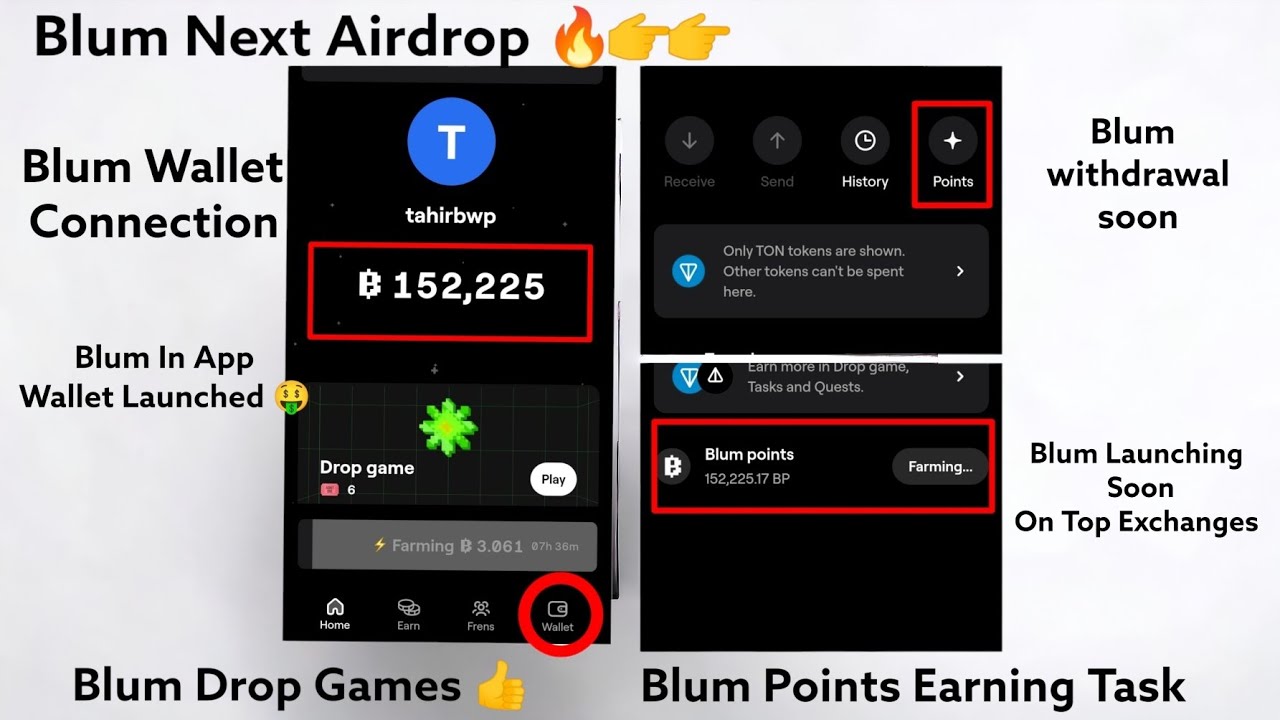 Blum Wallet and Exchange Next Biggest Project Of Ton Ecosystem | Blum ...