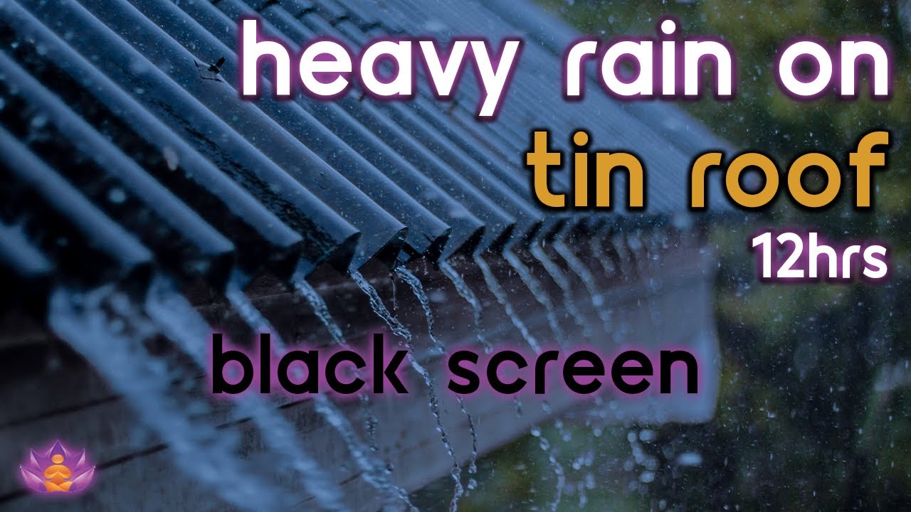 [Black Screen] Heavy Rain on Tin Roof | Rain Ambience No Thunder | Rain ...