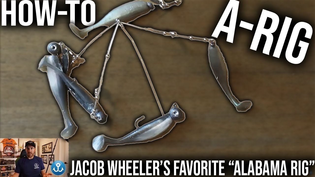 My Favorite A-Rig: How-To Rig "The Alabama Rig" to Catch EVERY Fish ...