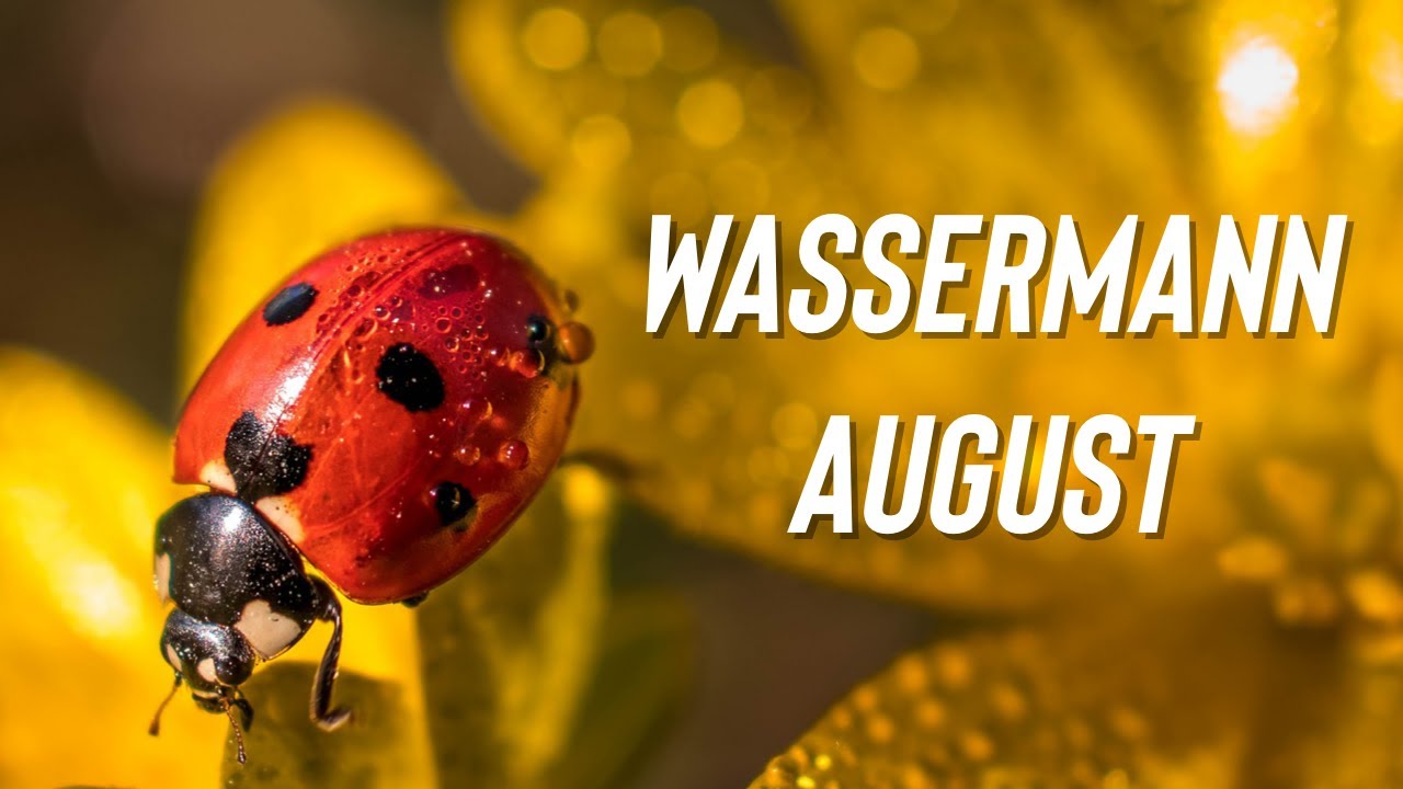 ♒️ WASSERMANN AUGUST 2022 TAROT ♒️ EIN SIEGESZUG ZU DEINEN EHREN ...