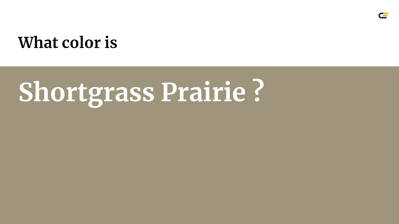 Shortgrass Prairie color #9e957c hex color - Yellow color - Cool color ...