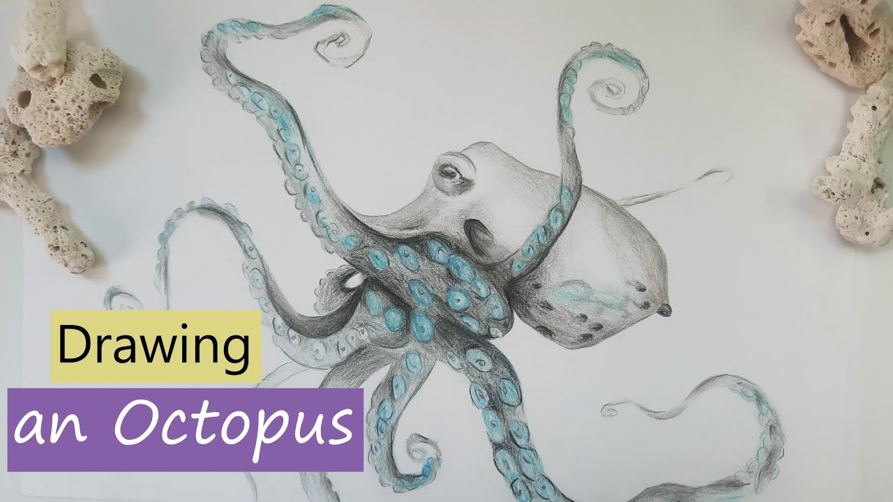 Painting an Octopus/ Drawing Easy & Simple for beginners / How to paint ...