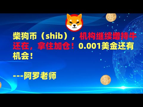 柴狗币（shib），机构继续增持牛还在，拿住加仓！0 001美金还有机会！--数字货币区块链投资，火币，okex，币安交易所视频教程 - YouTube