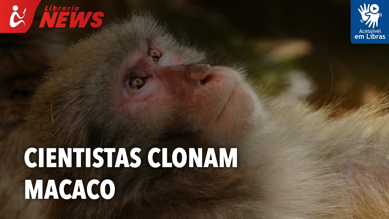 Cientistas clonam macaco (Libras) - YouTube